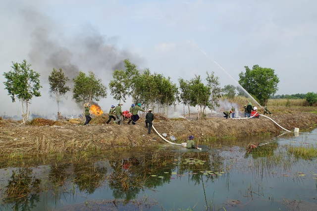 Forest fire fighting plan drill in Dong Thap province in 2024