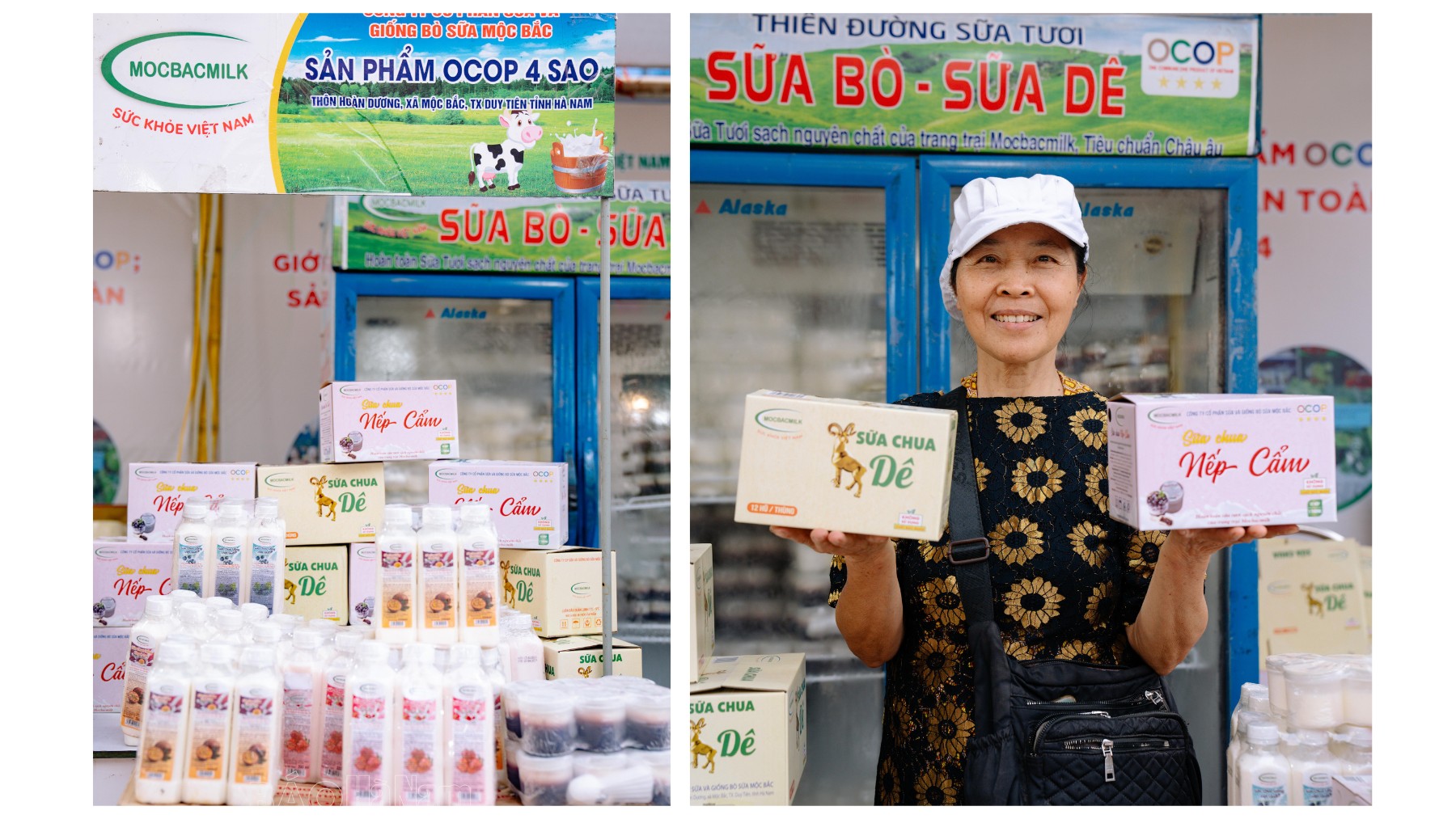 OCOP program enhances and promotes the value of Moc Bac milk products