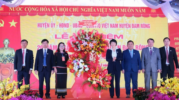 Dam Rong - 20년의 형성과 발전