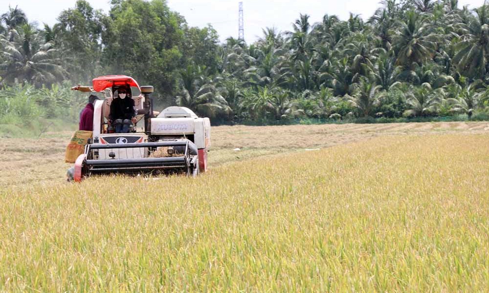 Promoting mechanization in agricultural production