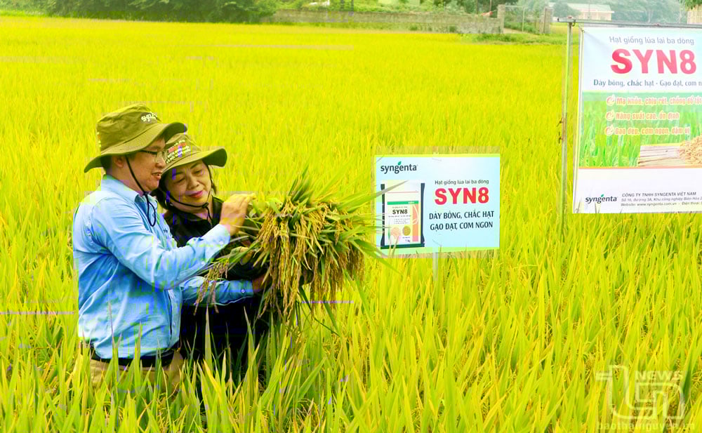 Applying science and technology to agricultural production