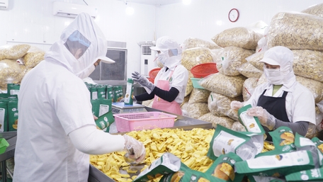 Producing Tet candy... "working and worrying at the same time"