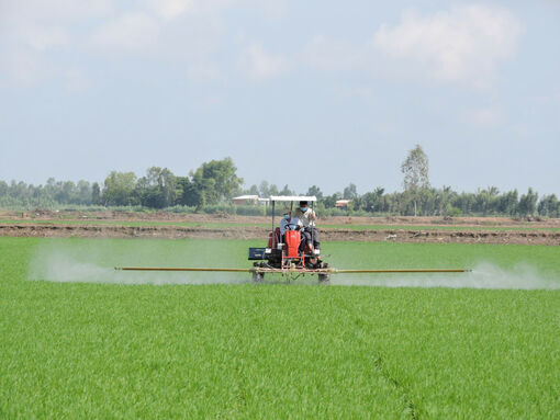 Synchronized mechanization in rice cultivation