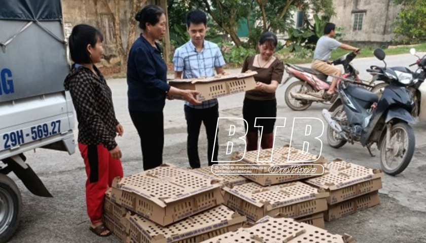 Deploying the R71 duck breeding model applying biosafety