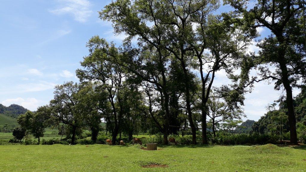 Hoa Binh Province Approves the detailed construction planning project ...