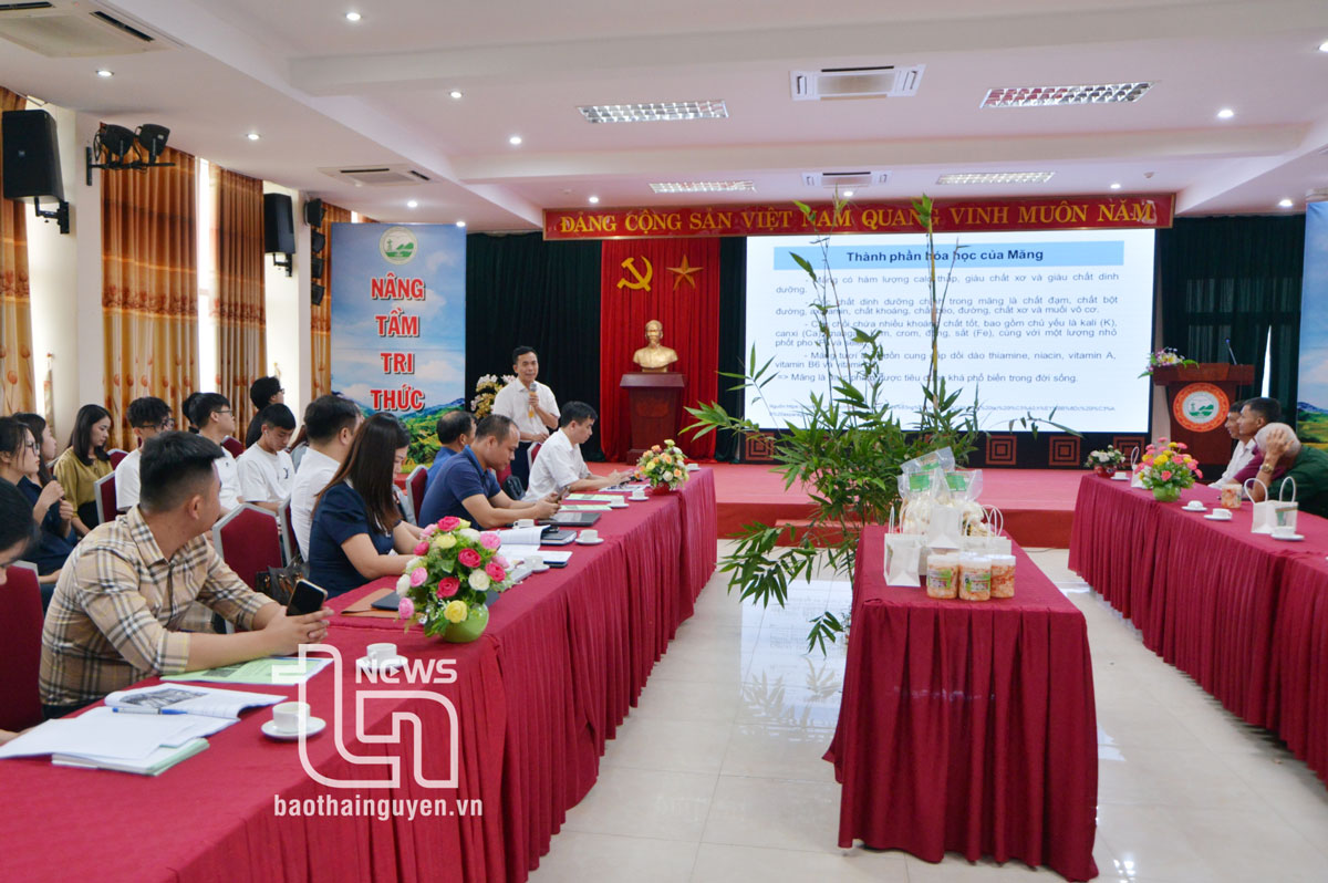 Growing bamboo shoots brings profit from 150-200 million VND/ha