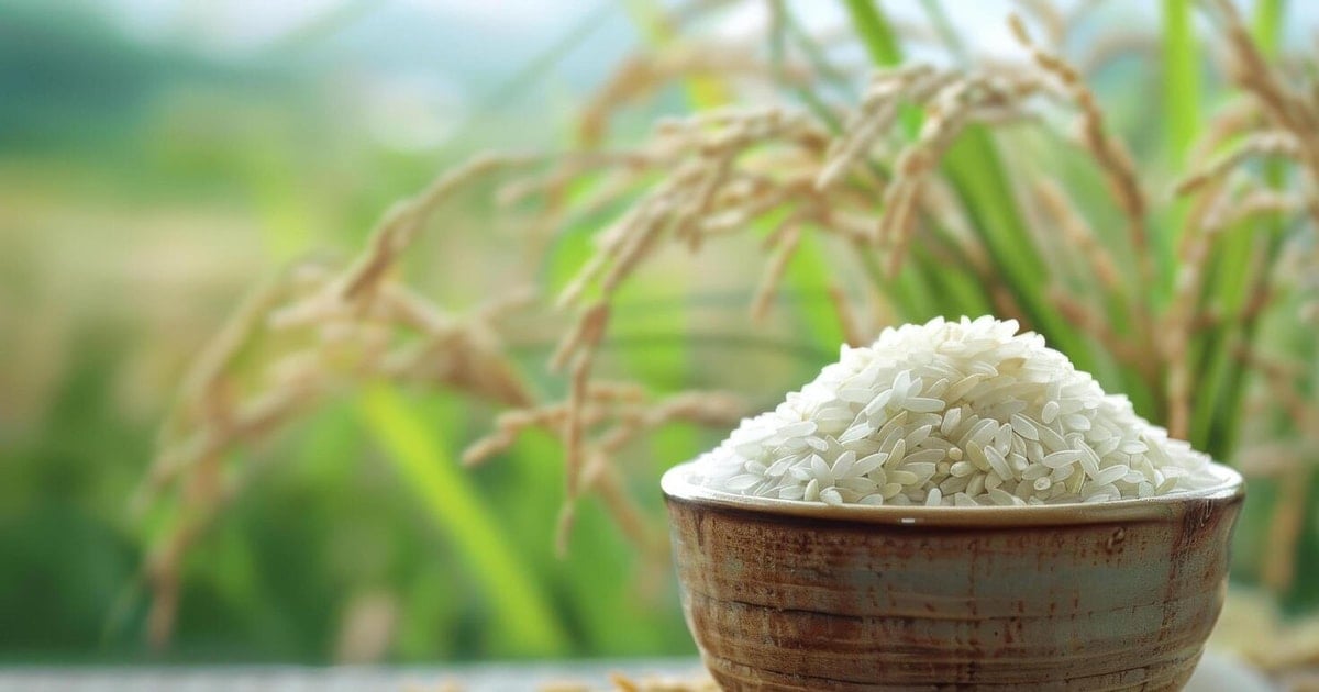 Prix du riz aujourd'hui 8 octobre : Stable, achats et ventes stagnants
