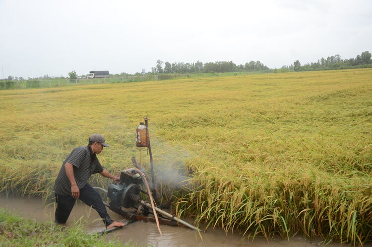 An Giang proactively responds to floods combined with high tides
