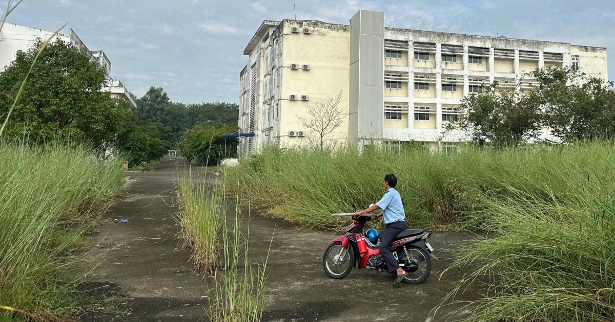 Grass grows wild inside the abandoned hospital worth hundreds of ...