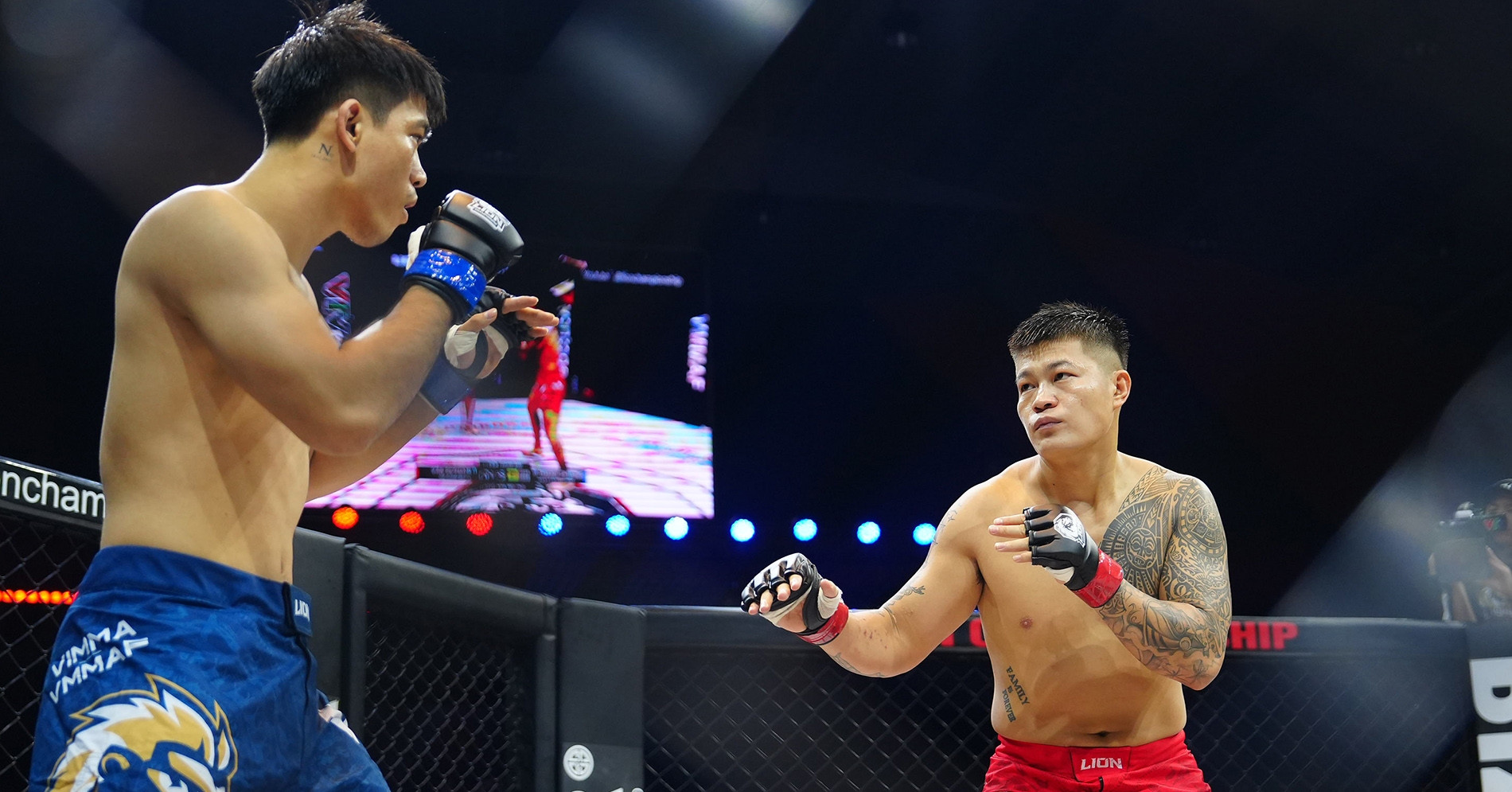 Vietnamese MMA fighter knocks out opponent, competes for championship ...