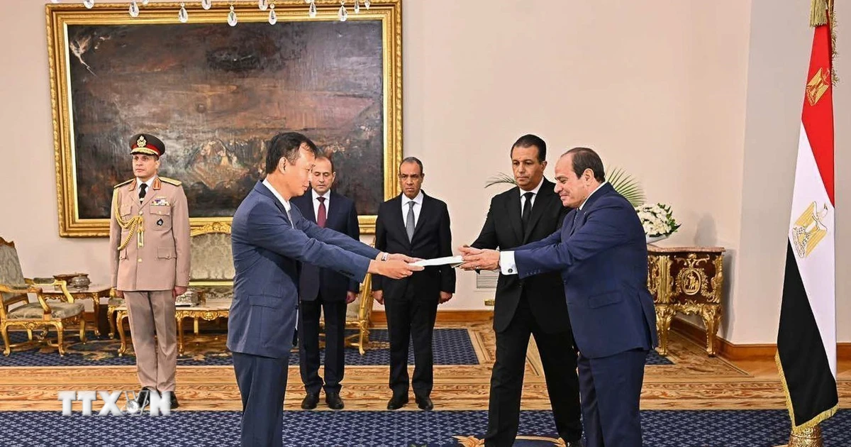 Further strengthening cooperation within the framework of the Vietnam ...