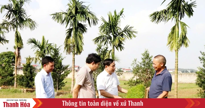 Dinh Tan은 개발 잠재력을 명확히 파악했습니다.