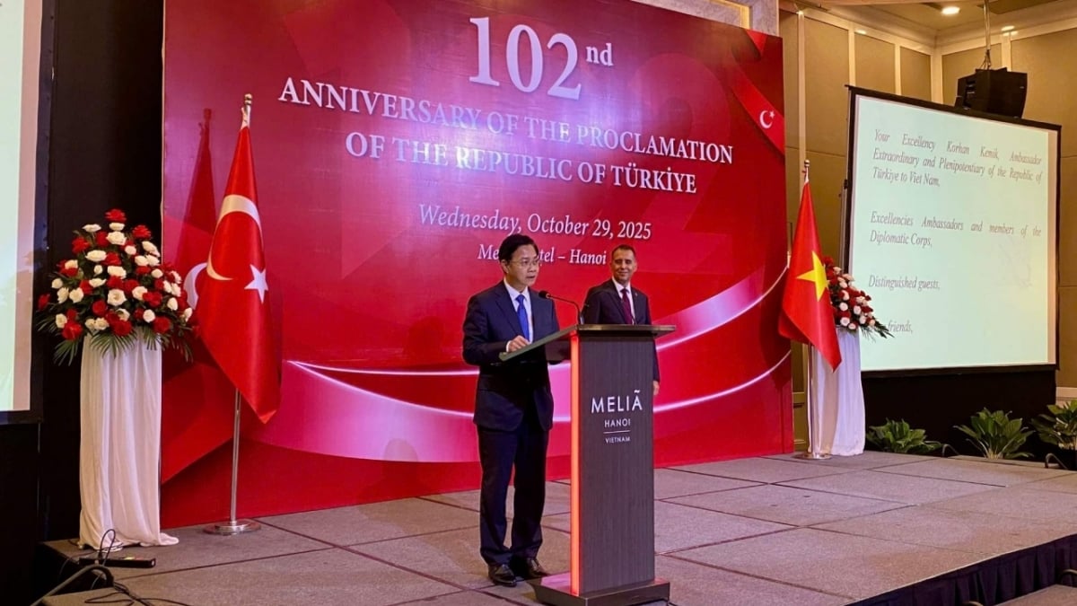 Vietnam - Türkiye: A model of cooperation between two countries with a ...