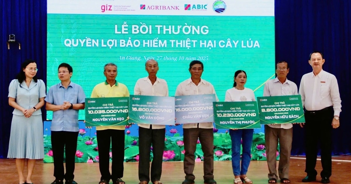 Agribank Insurance pays rice crop insurance to An Giang farmers