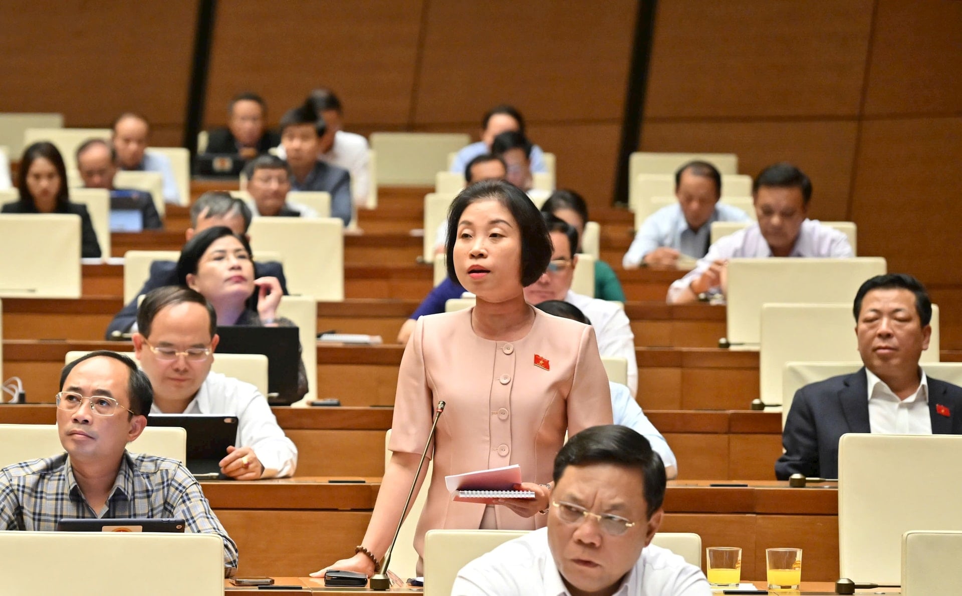 La députée à l'Assemblée nationale Pham Thi Thanh Mai : La situation en ...