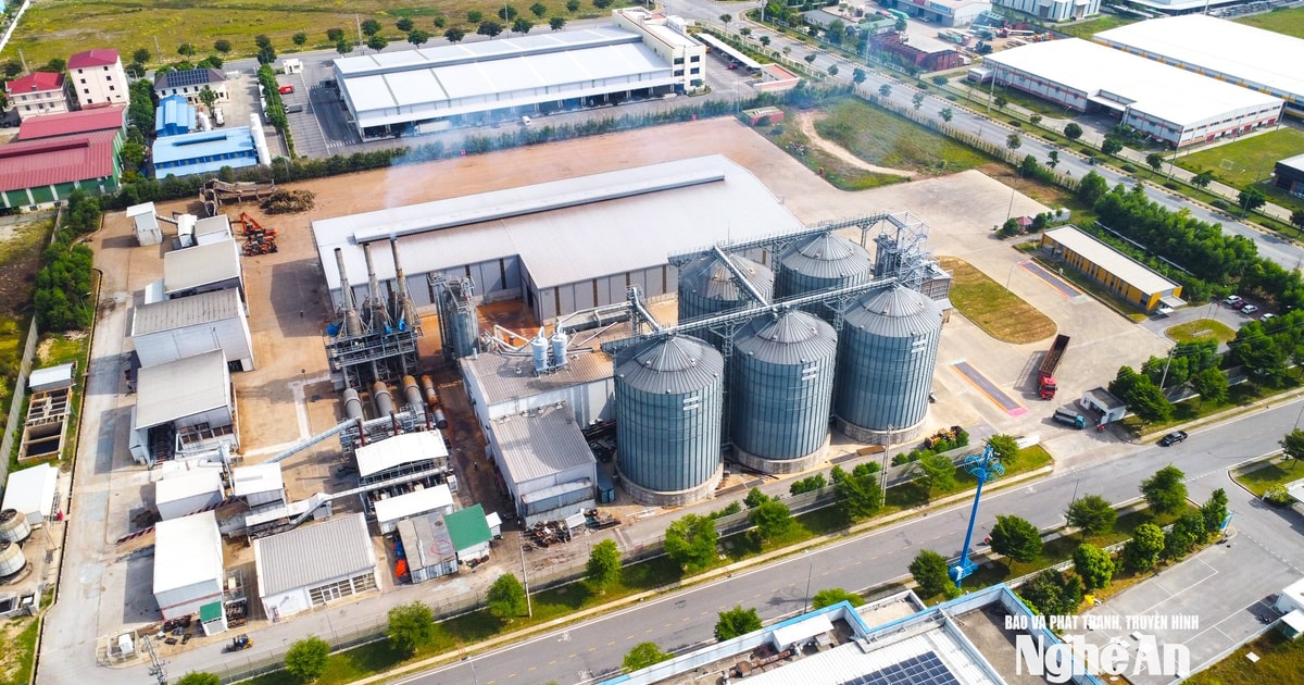 VSIP Nghe An: Símbolo de la cooperación internacional, motor del ...