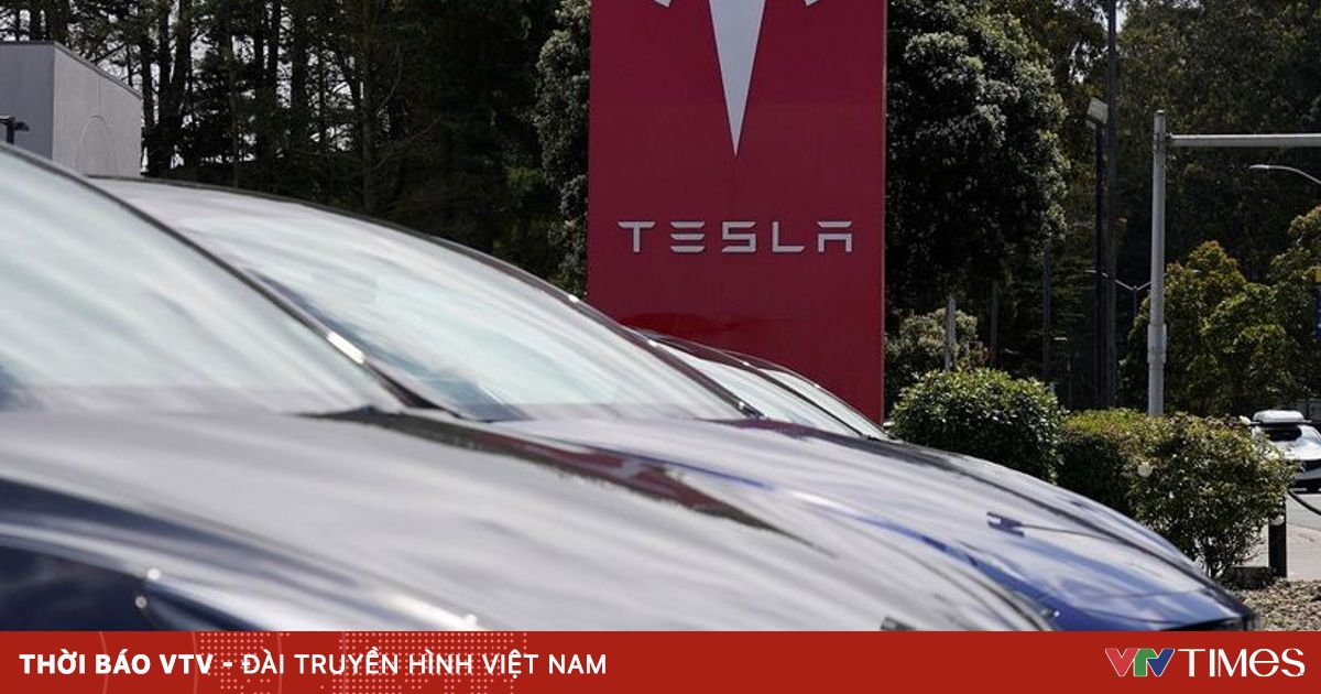 Tesla car sales fall sharply in many European markets