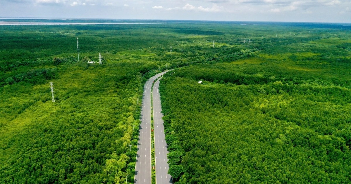 Ho Chi Minh City preserves the Can Gio biosphere reserve and creates a ...