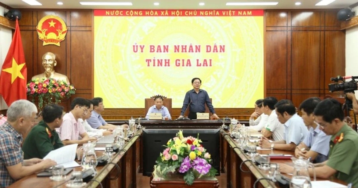 Deputy Prime Minister Ho Quoc Dung works with Gia Lai province on the ...