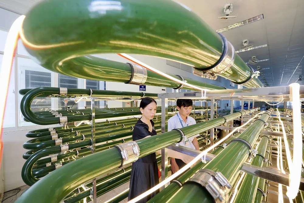Urban agriculture is transforming