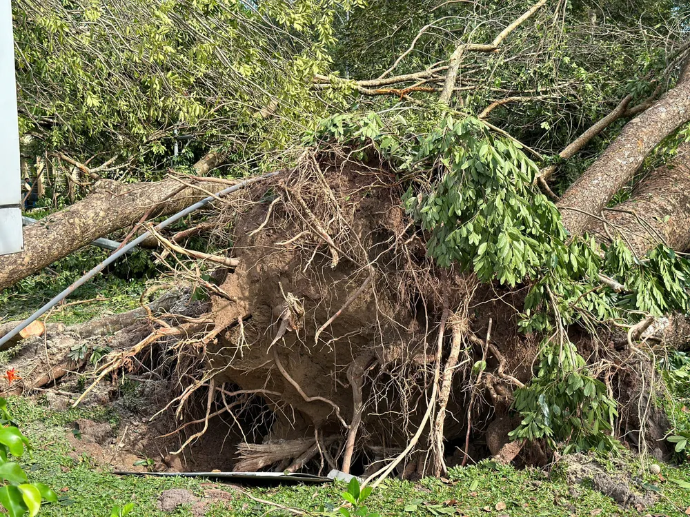 Staying up all night cleaning up fallen trees due to the rain