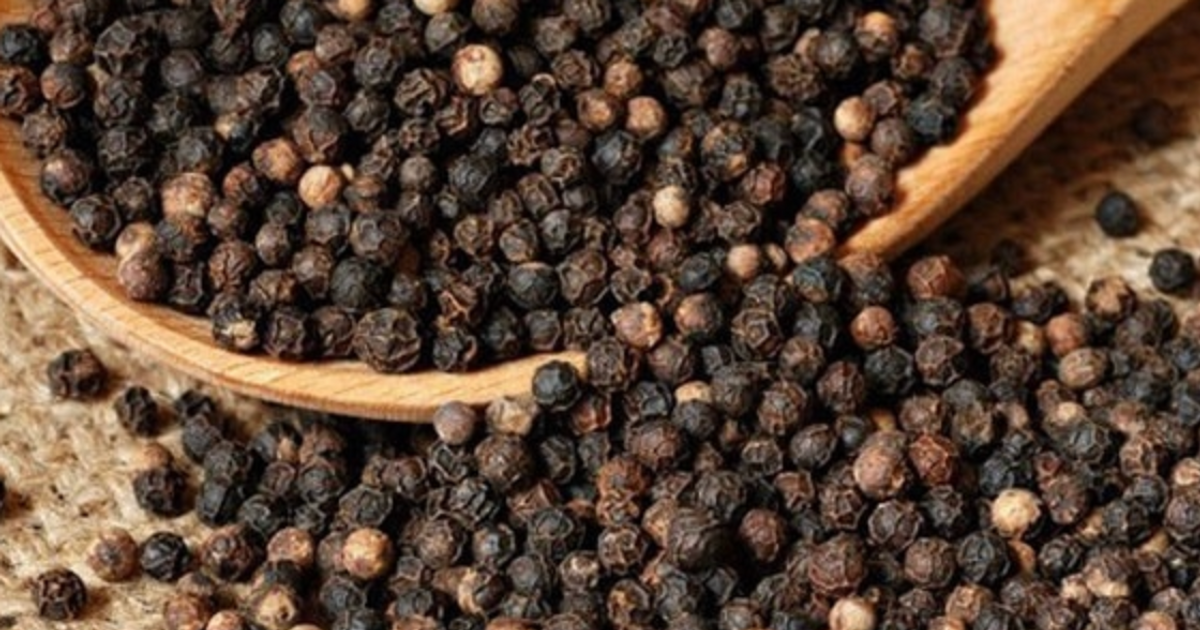Pepper price today November 10, 2025: Indonesian pepper drops sharply
