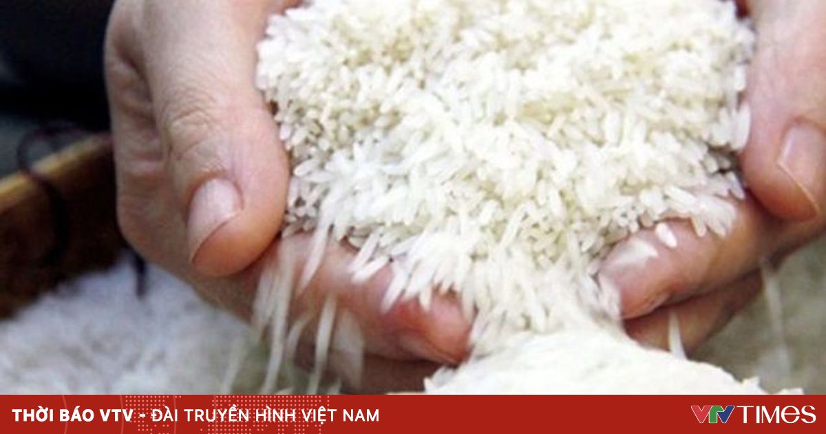 ST25 rice continues to win the world's best rice award