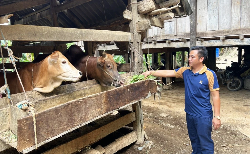 Typical examples of poverty reduction in Cao Bang