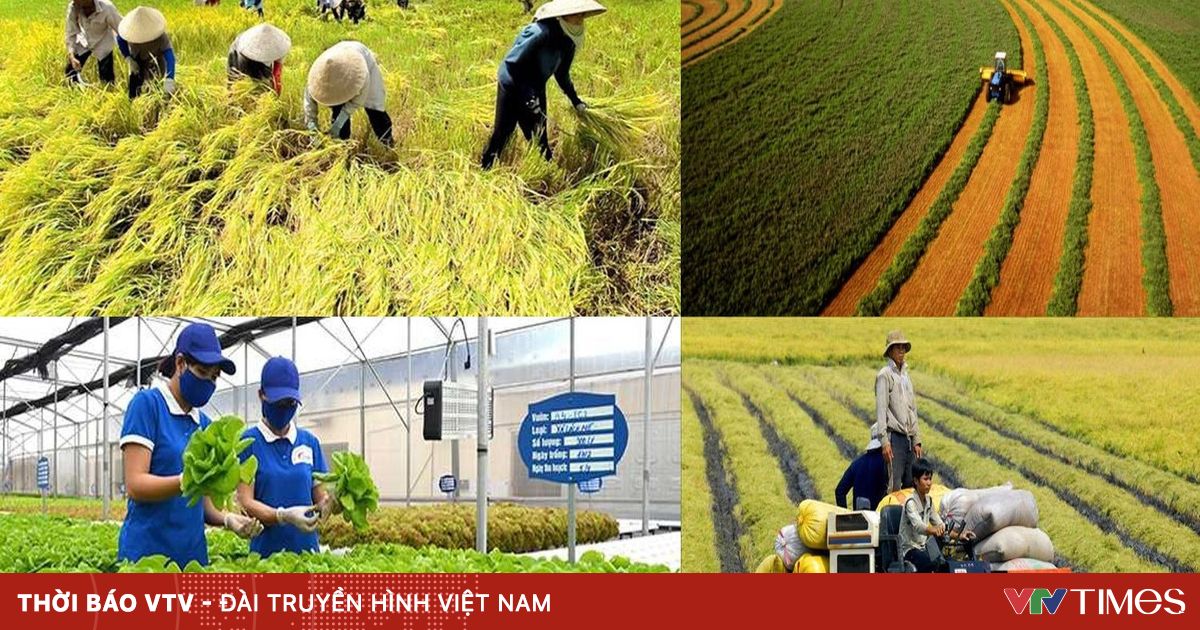 80 Years of Vietnamese Agriculture: From Household-Based Farming to ...