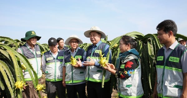 Les services de vulgarisation agricole s'associent aux entreprises ...