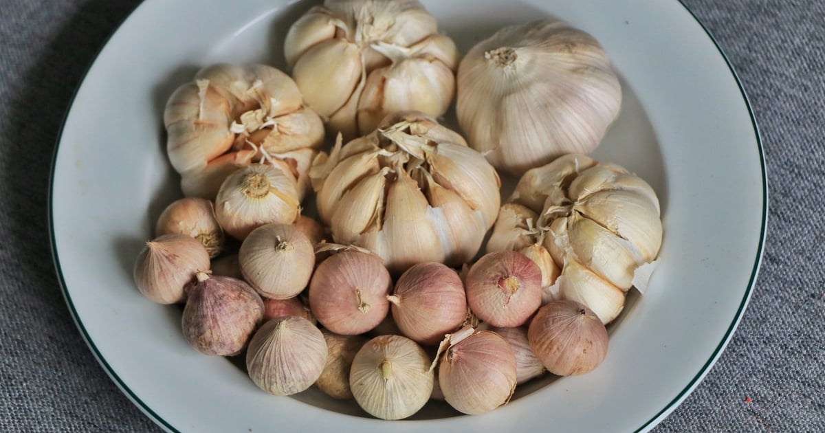Spending 353 billion VND per month on imported garlic, why do ...