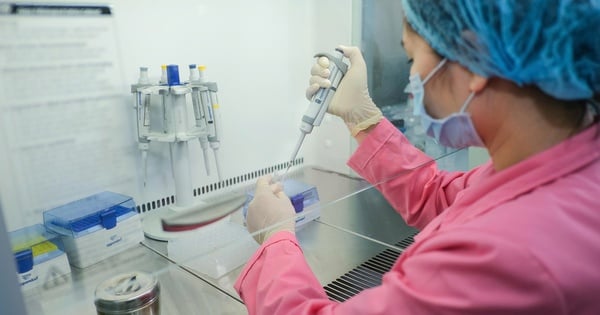 Promoting the application of artificial intelligence in collecting and processing statistical ...