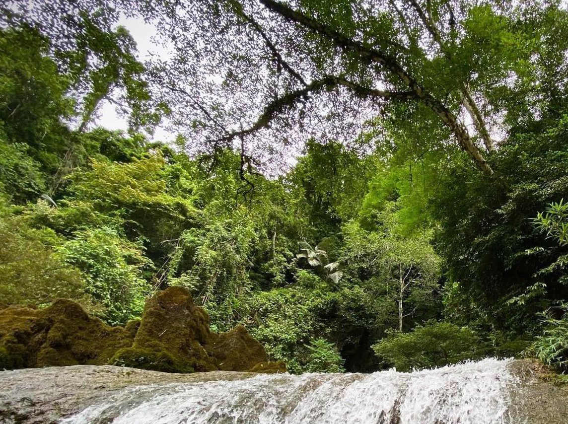 Biodiversity conservation in Phong Nha – Ke Bang National Park