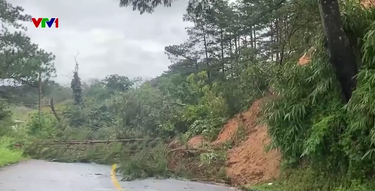 Urgent measures are needed to address the serious landslides on Song ...