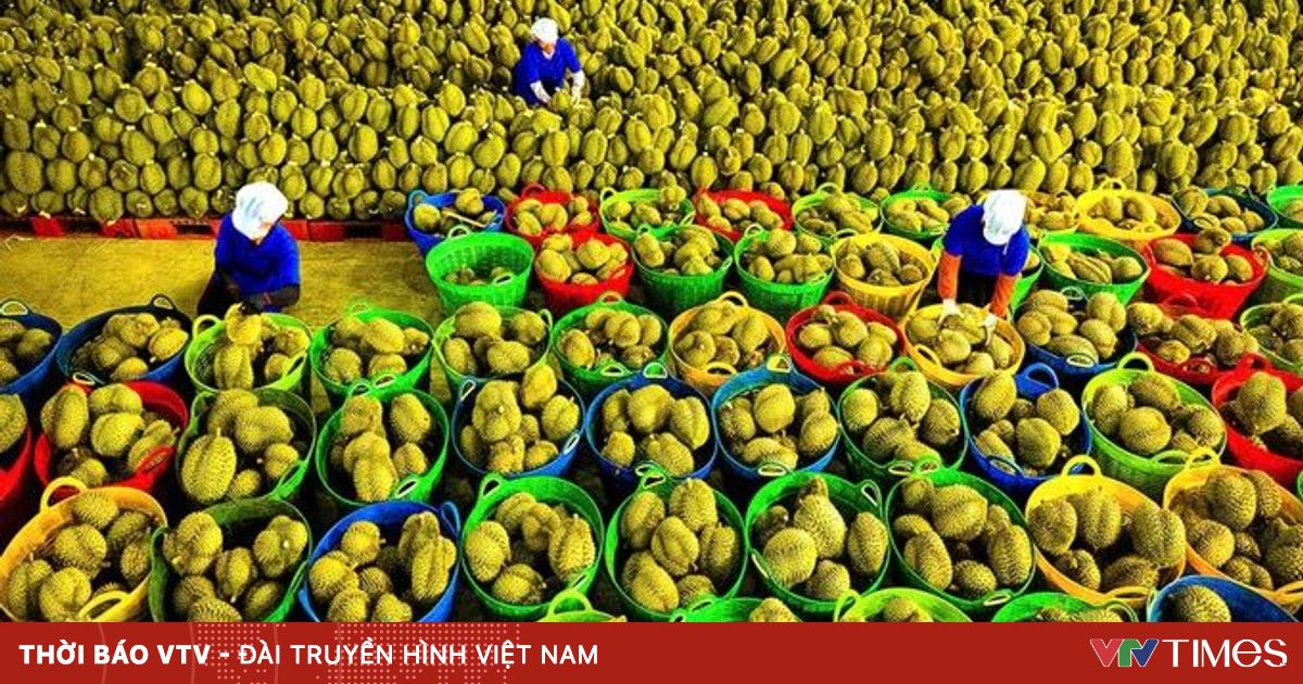 Vietnamese fruits and vegetables aim for a record of over 8 billion USD ...