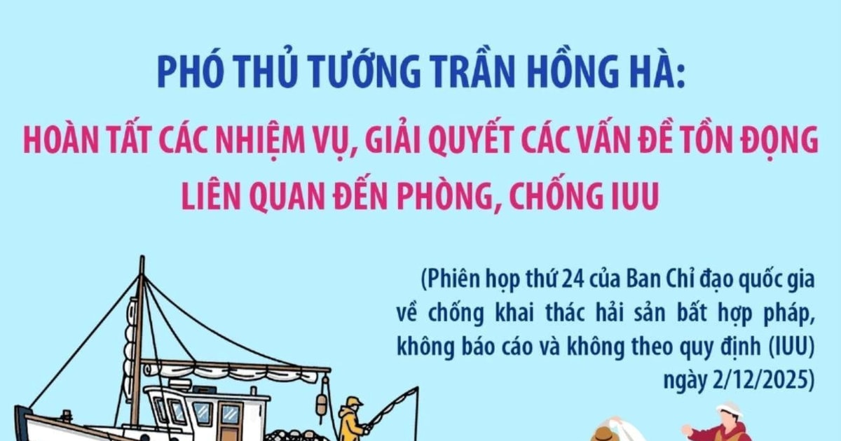 Deputy Prime Minister Tran Hong Ha: Solving outstanding issues in ...