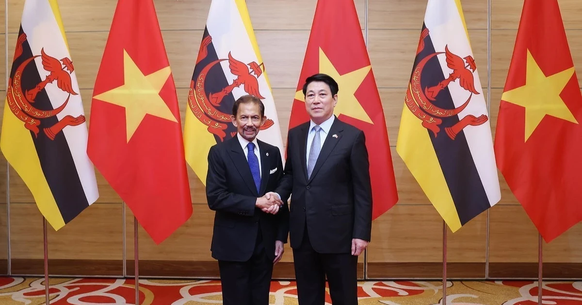 The Sultan of Brunei successfully concluded his State visit to Vietnam.