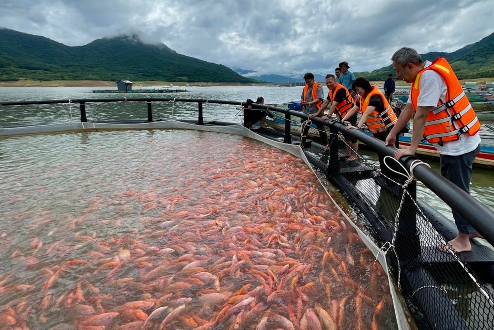 Pour la première fois, des poissons d'élevage en étang sont exportés au ...