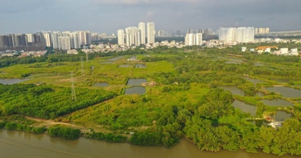 Quoc Cuong Gia Lai wants to sell assets to pay off debt related to Ms ...