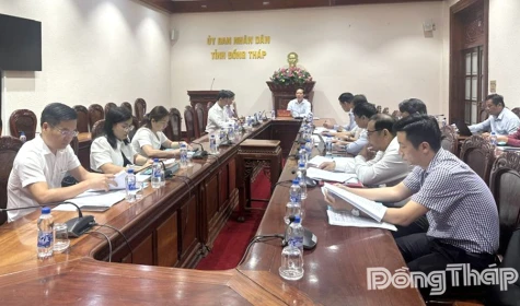 Faire de Dong Thap une province pionnière et modèle en matière d ...