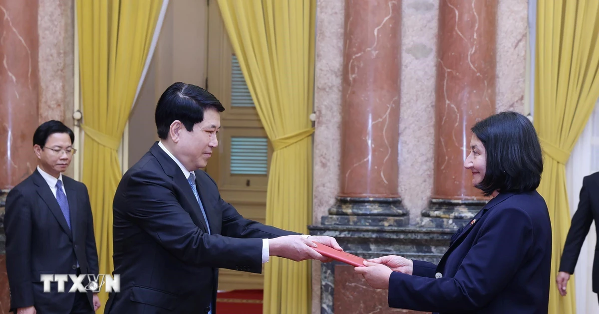 The President of Vietnam receives Ambassador of the Republic of Chile ...