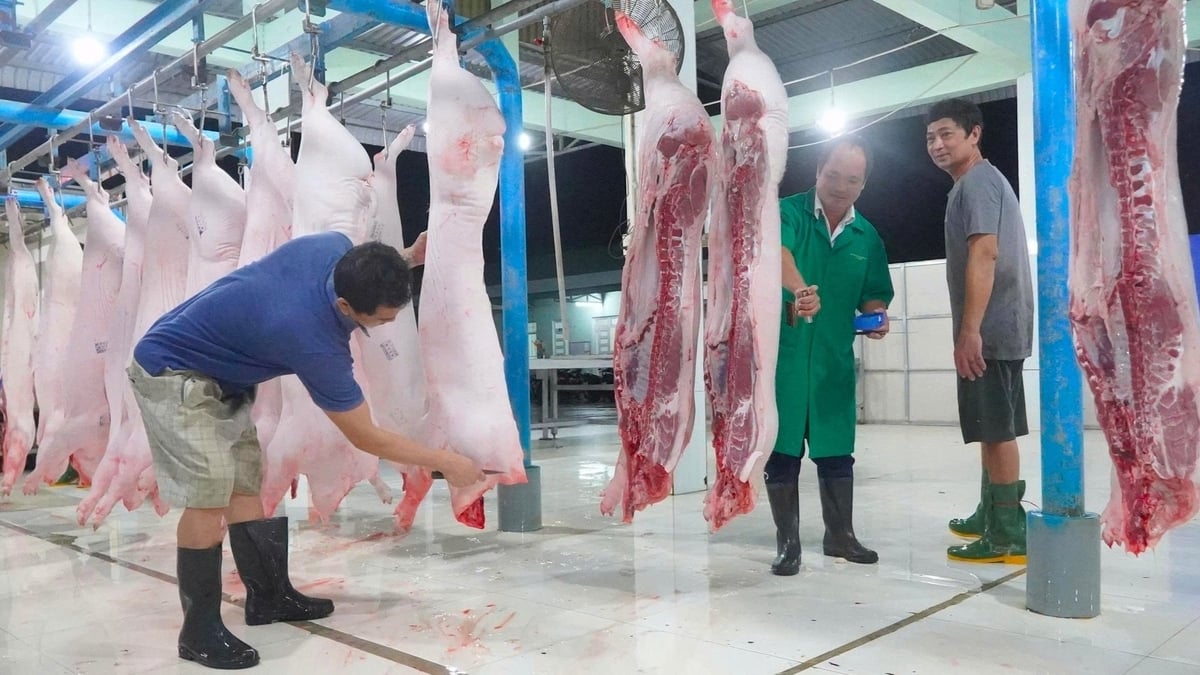 Đánh giá nguy cơ, nâng cao hiệu quả quản lý an toàn thực phẩm