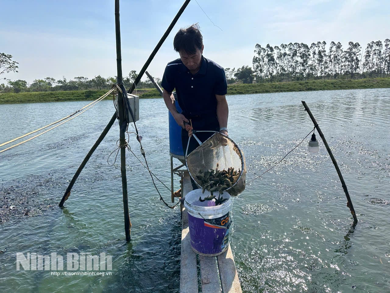 Lien Minh Commune is creating a new economic position.