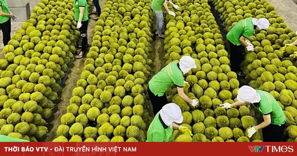 Xuất khẩu rau quả Việt Nam sang Trung Quốc vượt đỉnh 2024