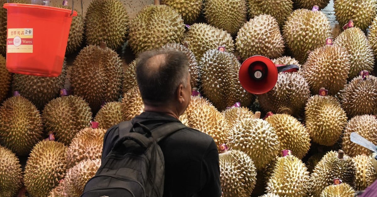 Laos has been granted permission by China to export fresh durian ...