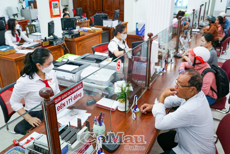 Banks partner with and support the development of the private economy.