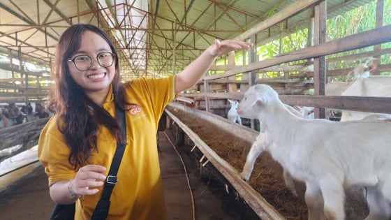 Tan Hoa's agricultural tourism needs a boost.