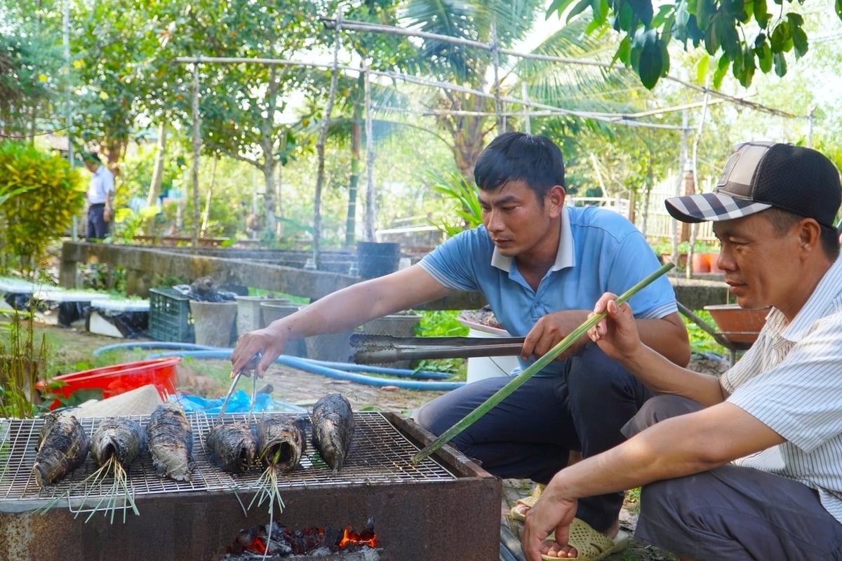 Tan Hoa's agricultural tourism needs a boost.
