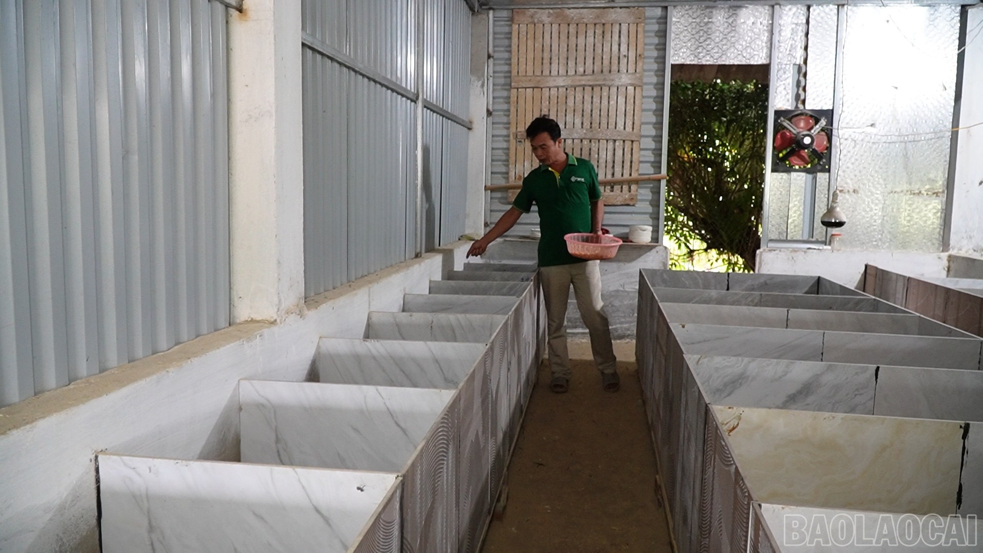 Gia Phú: Nông dân thu nhập cao từ nuôi dúi má đào