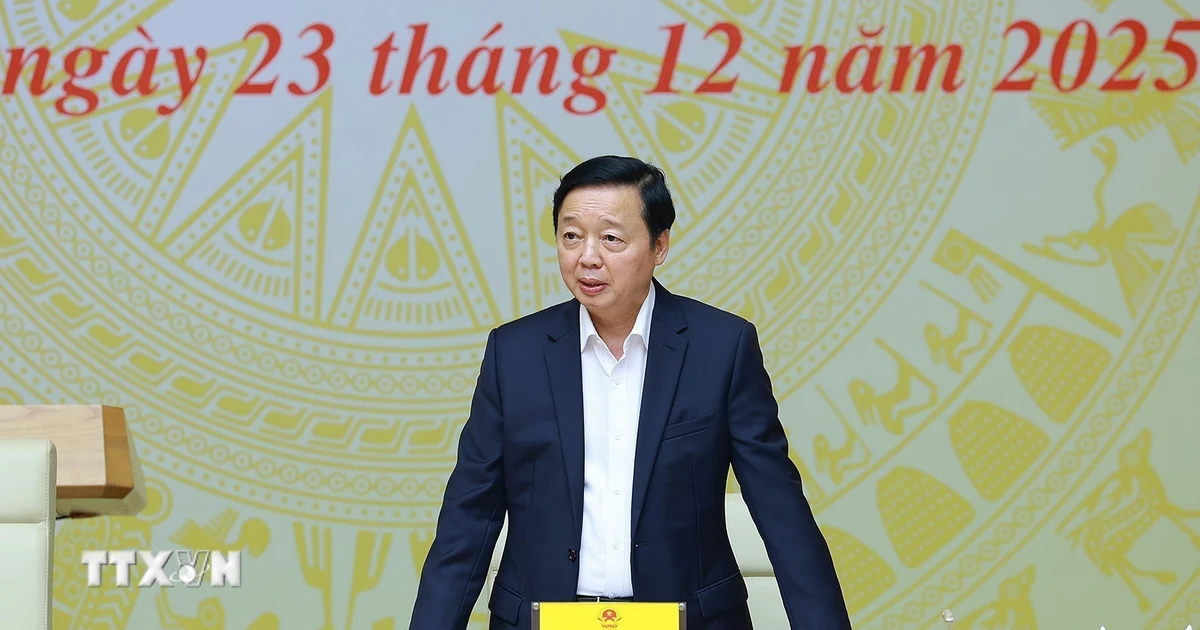 Deputy Prime Minister Tran Hong Ha chaired the meeting of the Steering ...